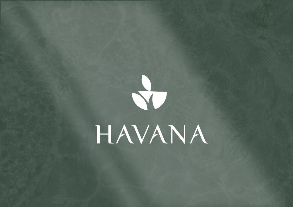 Logo Packaging Design Client: Havana - Branding Agency Penang Malaysia ...